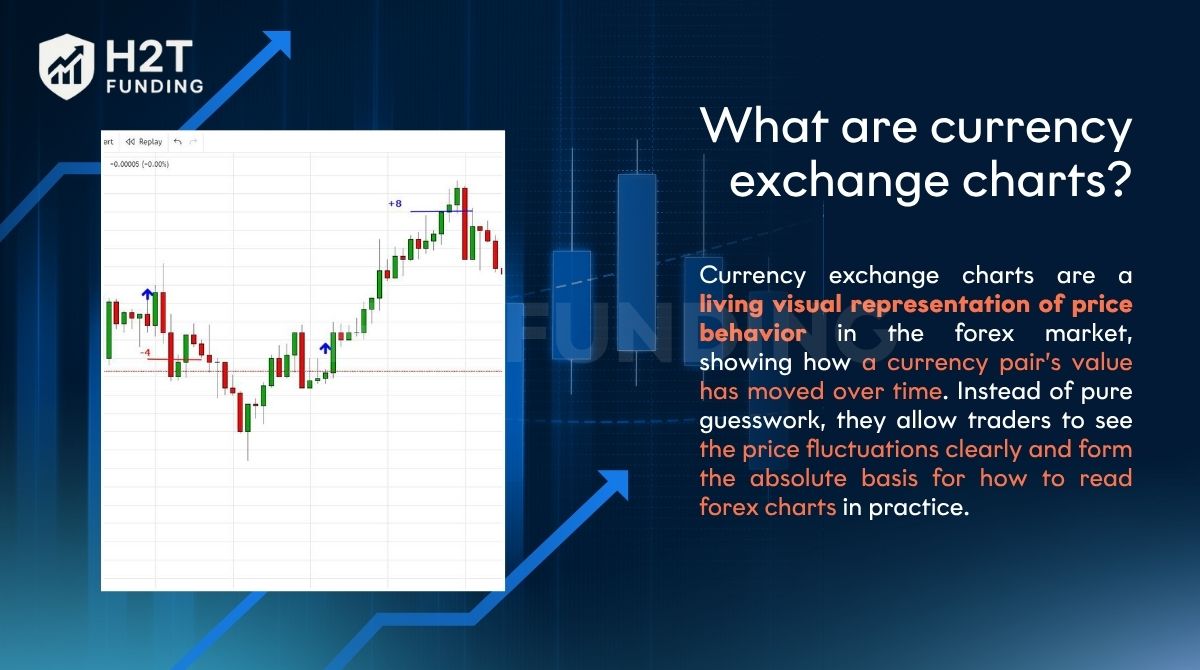 How to read currency exchange charts step by step for beginners